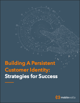 Consumer Profiles with Persistent Identities | Mobilewalla